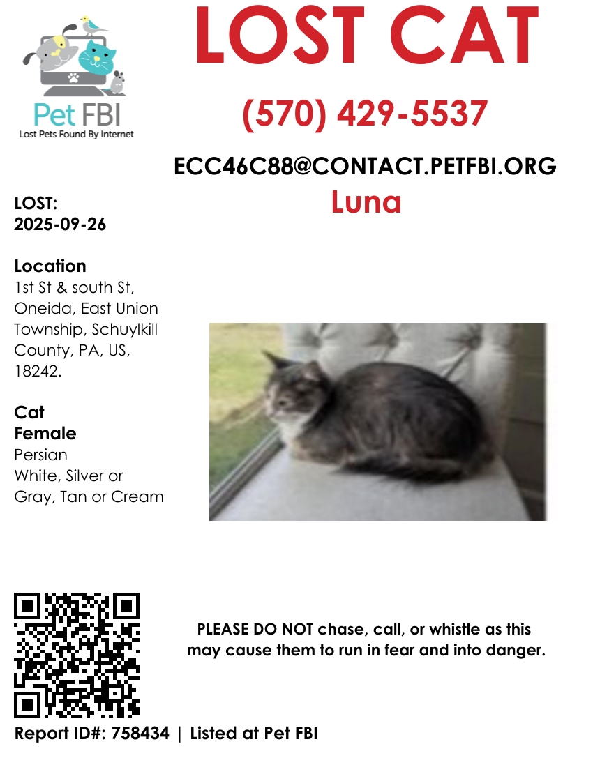 Pet FBI Report ID #758434 for a LOST CAT | Pet FBI Pets Found By Internet