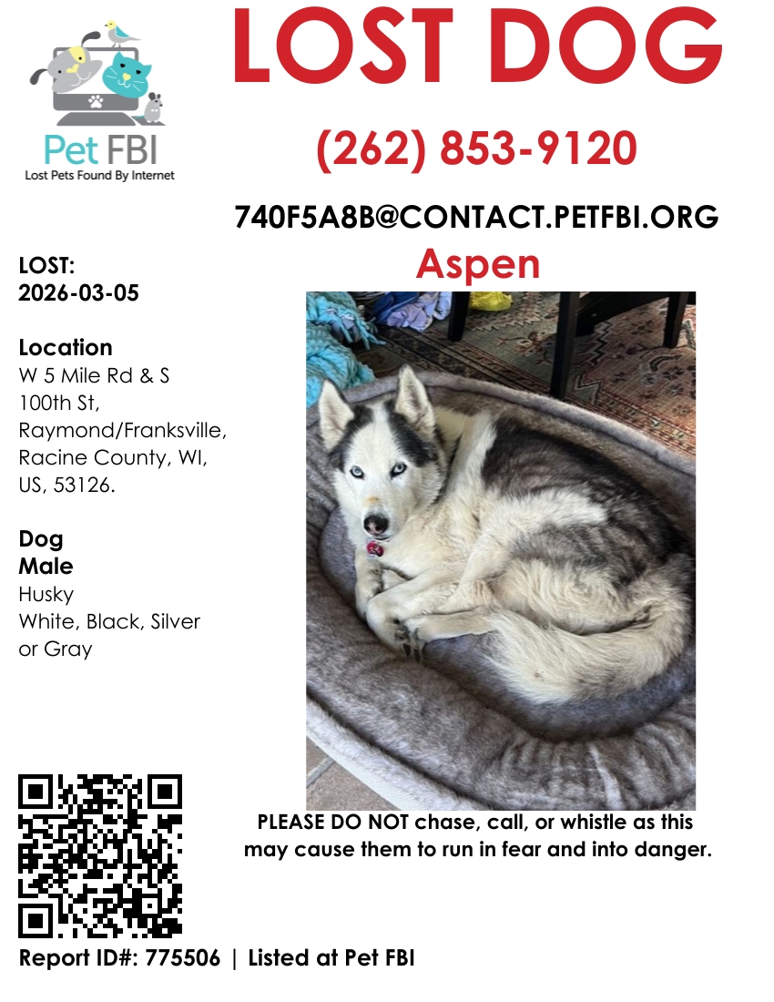 Pet FBI Report ID #775506 for a LOST DOG | Pet FBI Pets Found By Internet