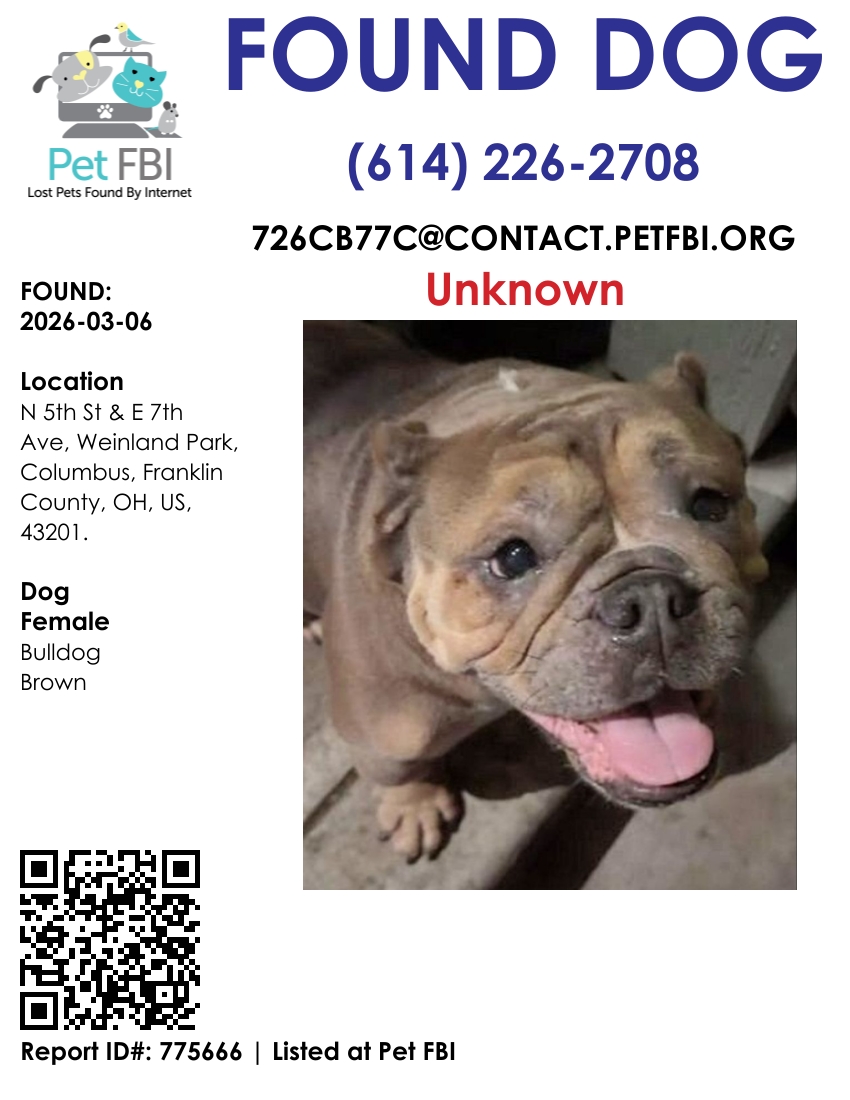 Pet FBI Report ID #775666 for a FOUND DOG | Pet FBI Pets Found By Internet