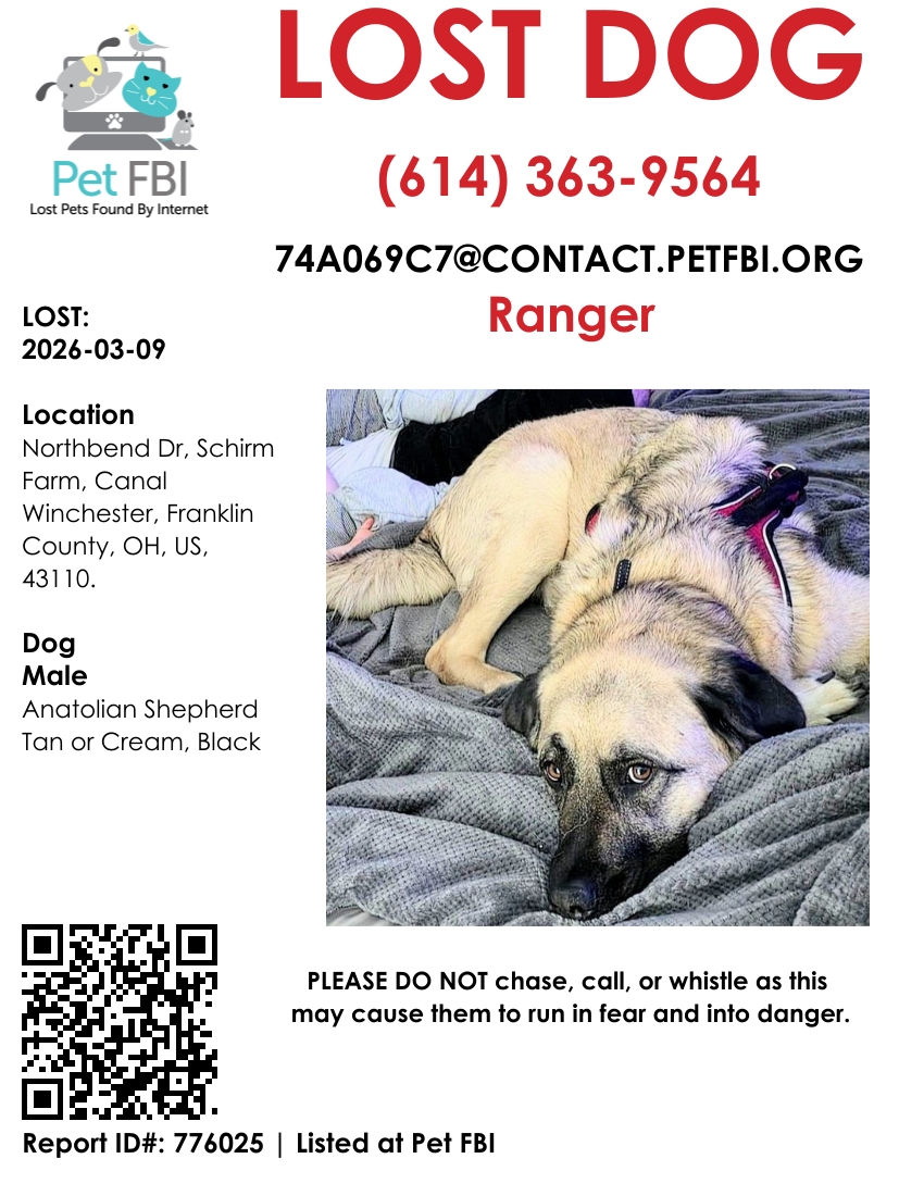 Pet FBI Report ID #776025 for a LOST DOG | Pet FBI Pets Found By Internet