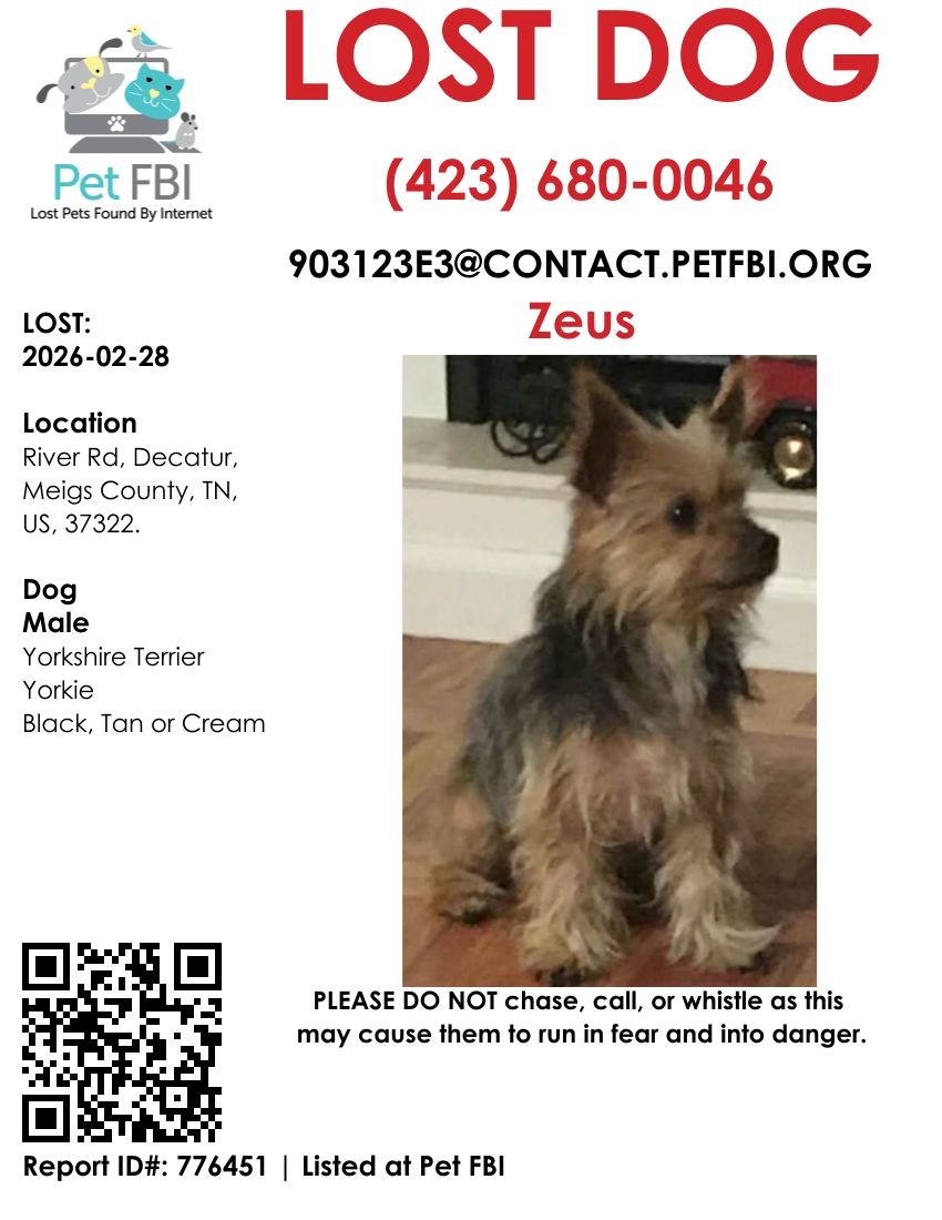 Pet FBI Report ID #776451 for a LOST DOG | Pet FBI Pets Found By Internet