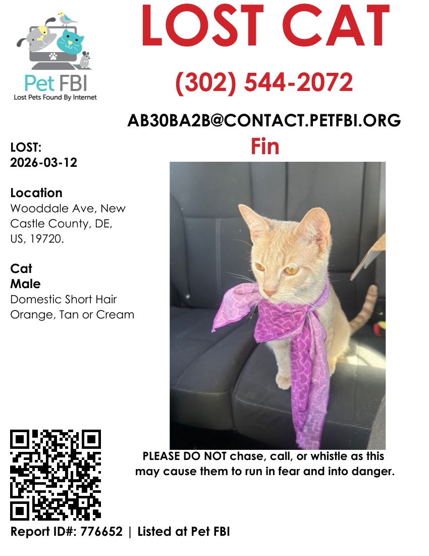 Pet FBI Report ID #776652 for a LOST CAT | Pet FBI Pets Found By Internet