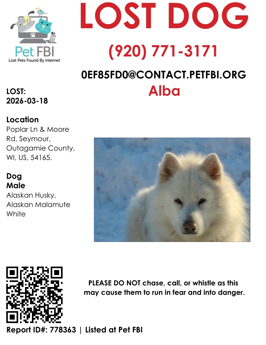 Pet FBI Report ID #778363 for a LOST DOG | Pet FBI Pets Found By Internet