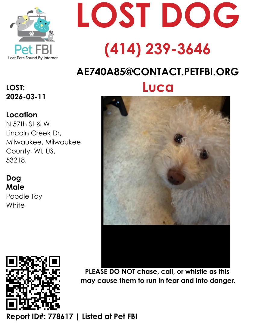 Pet FBI Report ID #778617 for a LOST DOG | Pet FBI Pets Found By Internet