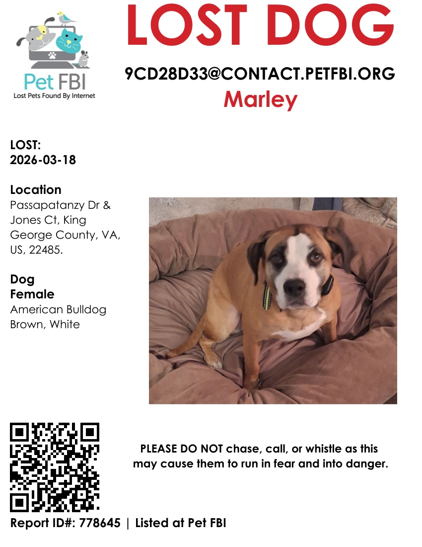 Pet FBI Report ID #778645 for a LOST DOG | Pet FBI Pets Found By Internet