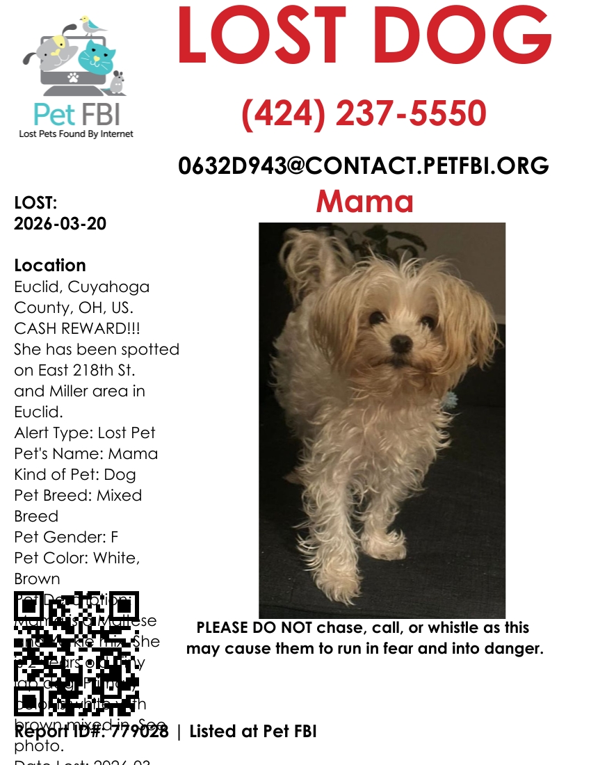 Pet FBI Report ID #779028 for a LOST DOG | Pet FBI Pets Found By Internet