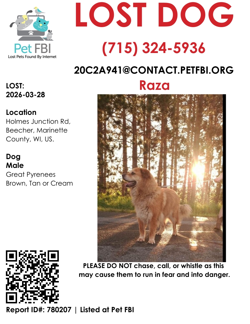 Pet FBI Report ID #780207 for a LOST DOG | Pet FBI Pets Found By Internet