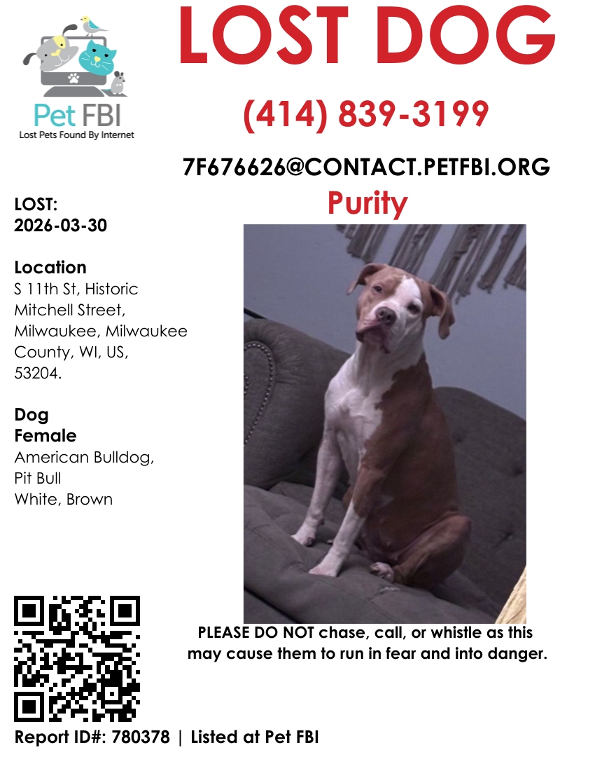 Pet FBI Report ID #780378 for a LOST DOG | Pet FBI Pets Found By Internet