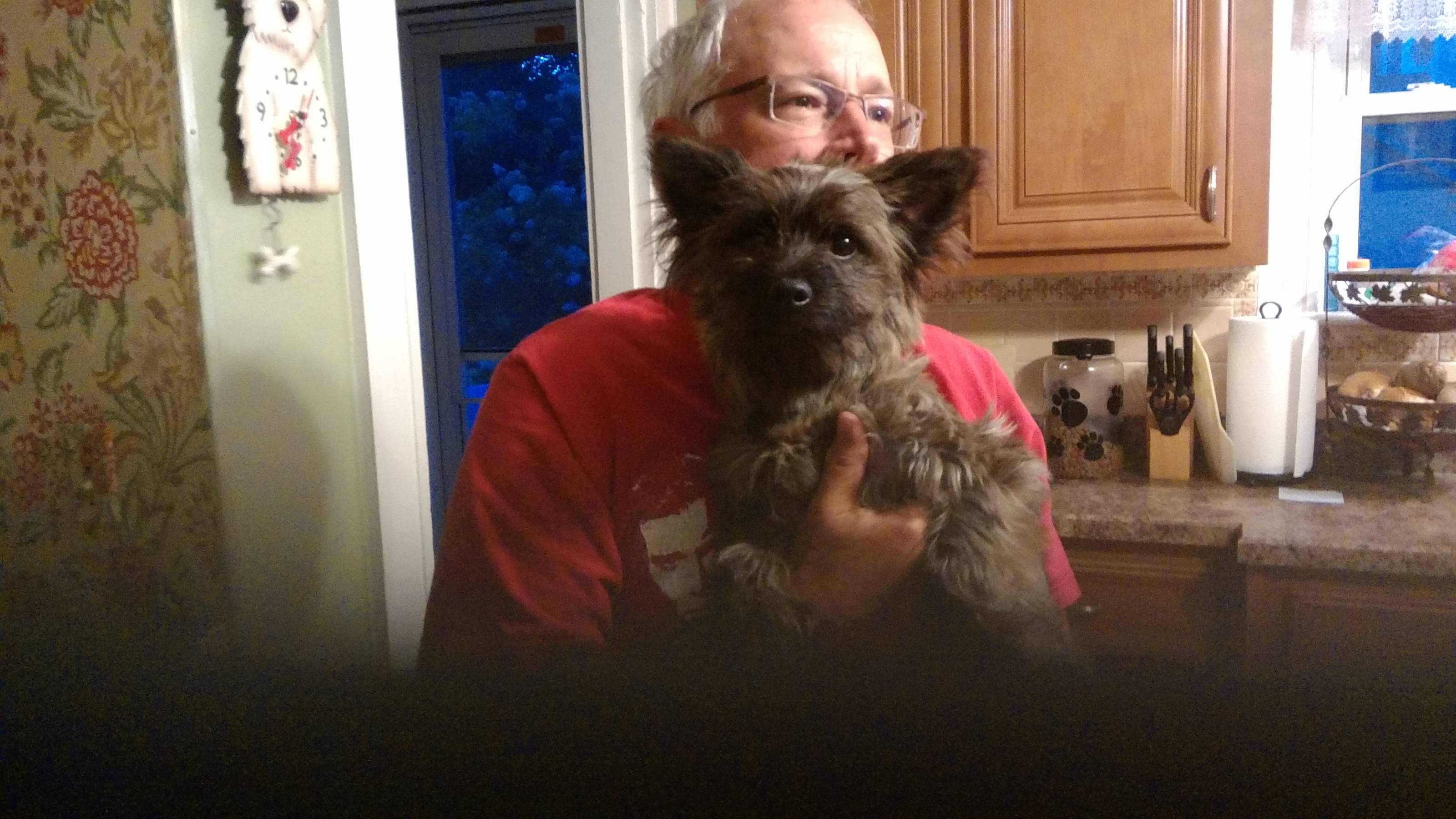Pet FBI Report ID 486066 For Found Dog PetFBI Pets Found By Internet pet-fbi-report-id-486066-for-found-dog-petfbi-pets-found-by-internet